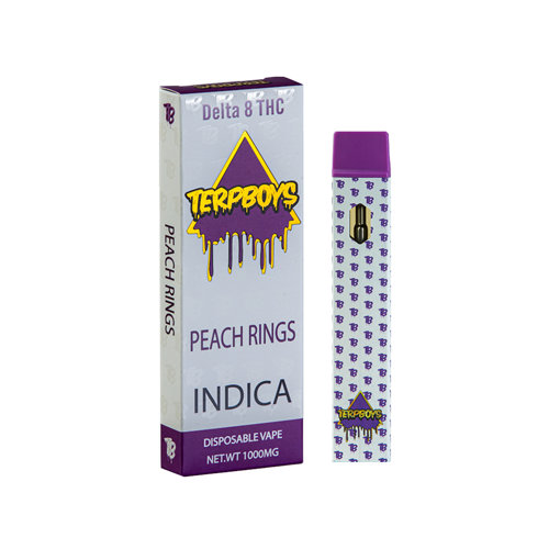 Terpboys Indica Delta 8 THC Disposable Vape Device - 1PC | Ohm City Vapes